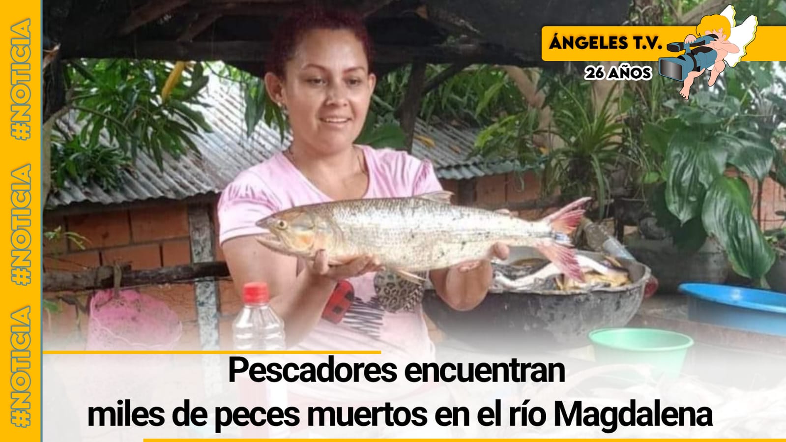 Pescadores encuentran miles de peces muertos en el río Magdalena ...
