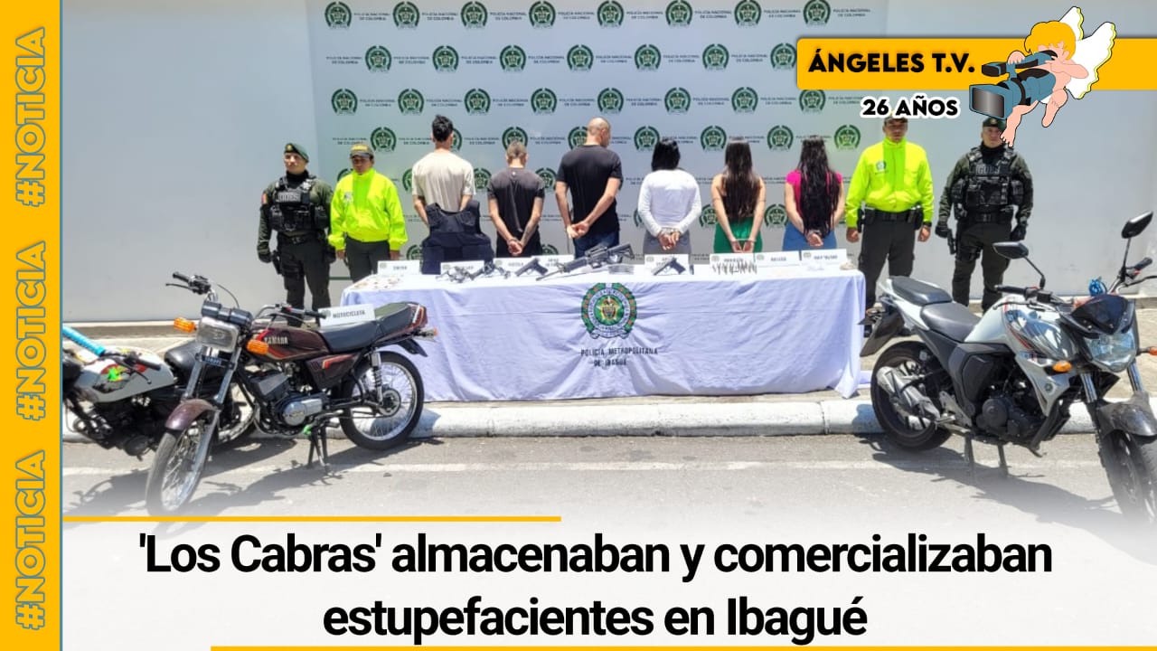 Golpe al Crimen: Desarticulado el Grupo “Los Cobras” Dedicado al ...