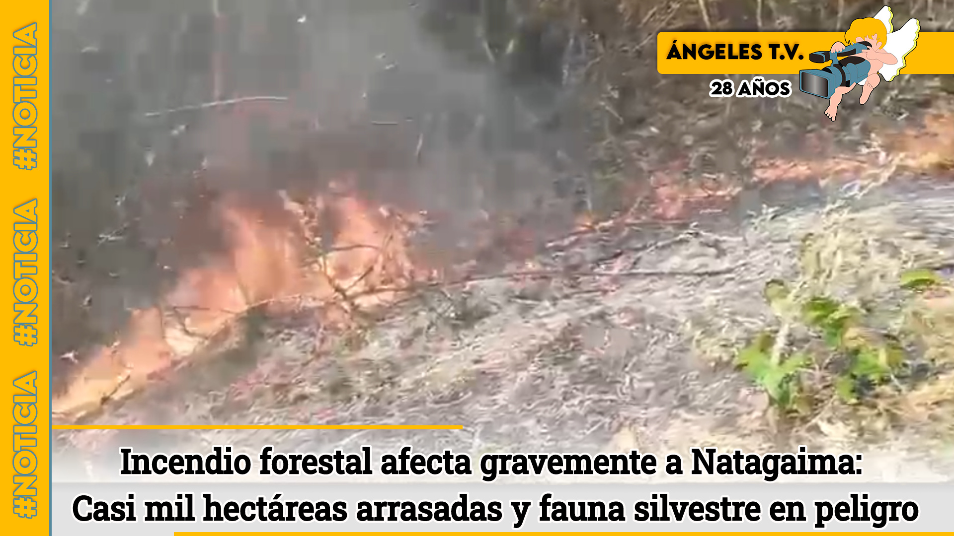 Incendio forestal afecta gravemente a Natagaima: Casi mil hectáreas ...